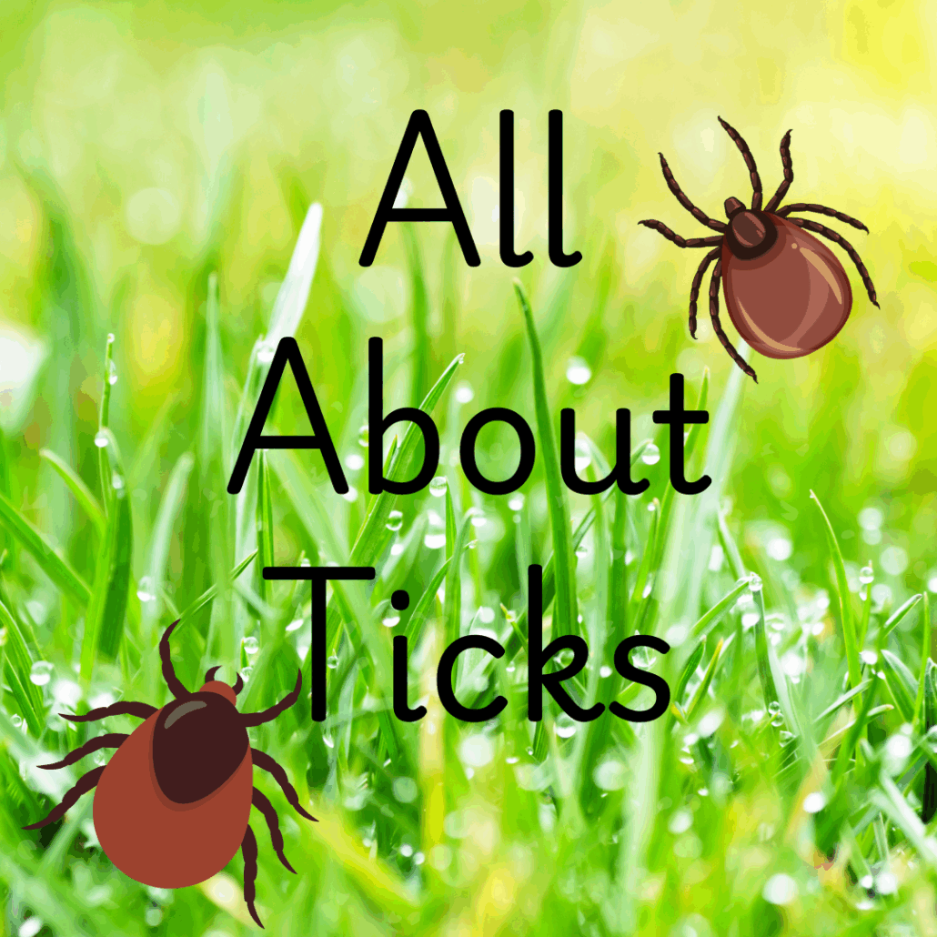 All About Ticks - Spring Valley Pediatrics